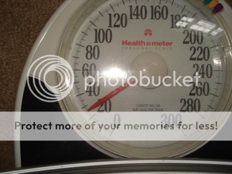 Lambo Gallardo reps 19x8 (many pics) | GOLFMKV.com - VW GTI Forum / VW ...