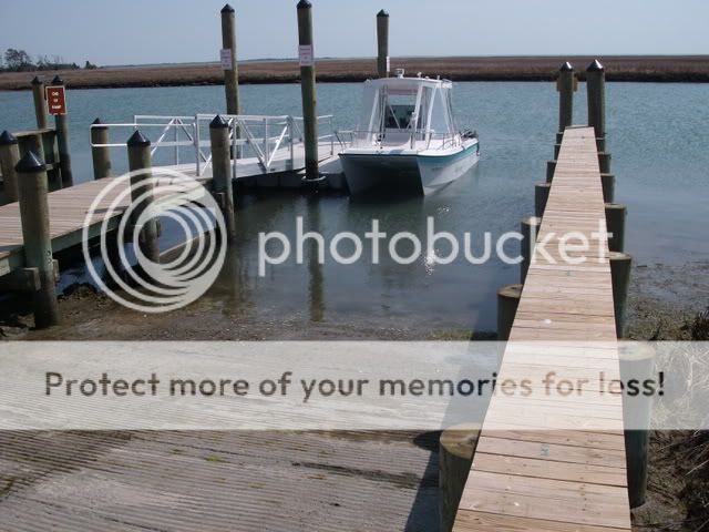 wise point boat ramp 3/22 | Tidal Fish Forum